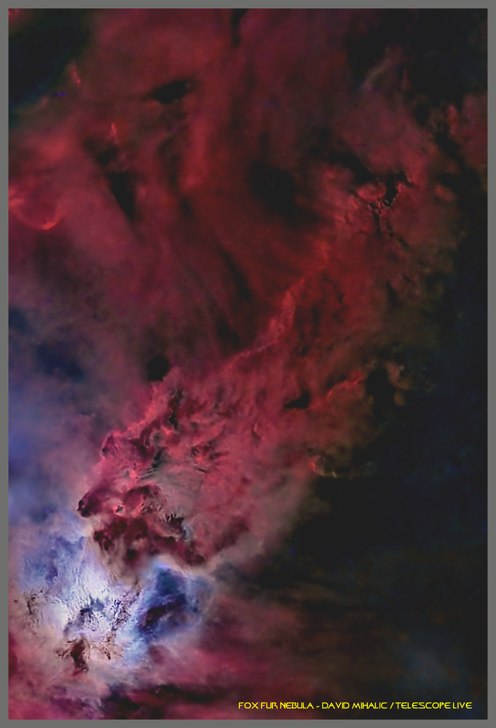 Starless Fox Fur Nebula in Monoceros | Telescope Live Starless Fox Fur Nebula in Monoceros | Telescope Live